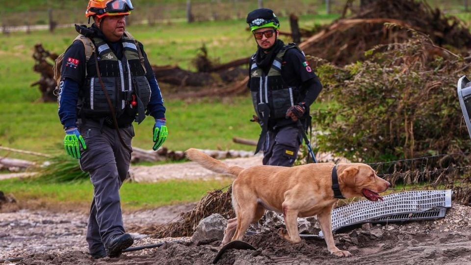 Así fue la participación de rescatistas y binomios caninos mexicanos en ...